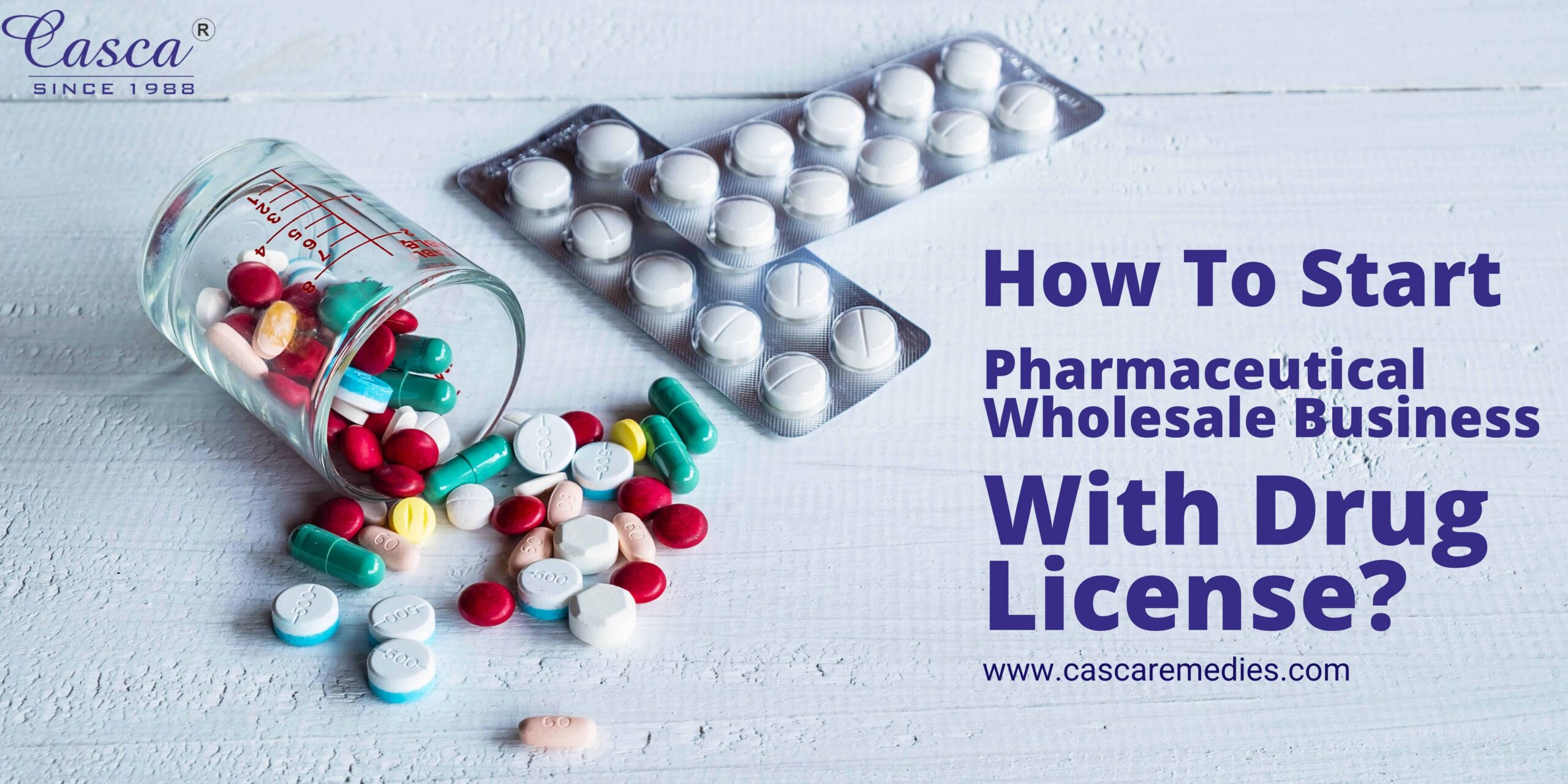 How To Start Pharma Wholesale Business With Drug License How To Start Pharma Wholesale Business With Drug License