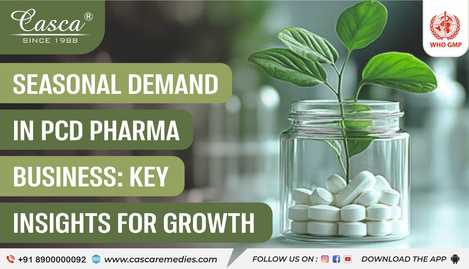 Seasonal Demand in PCD Pharma Business: Key Insights for Growth